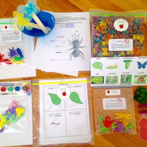 Sensory Bin and Educational Activities Butterflies and Other Insects - Etsy