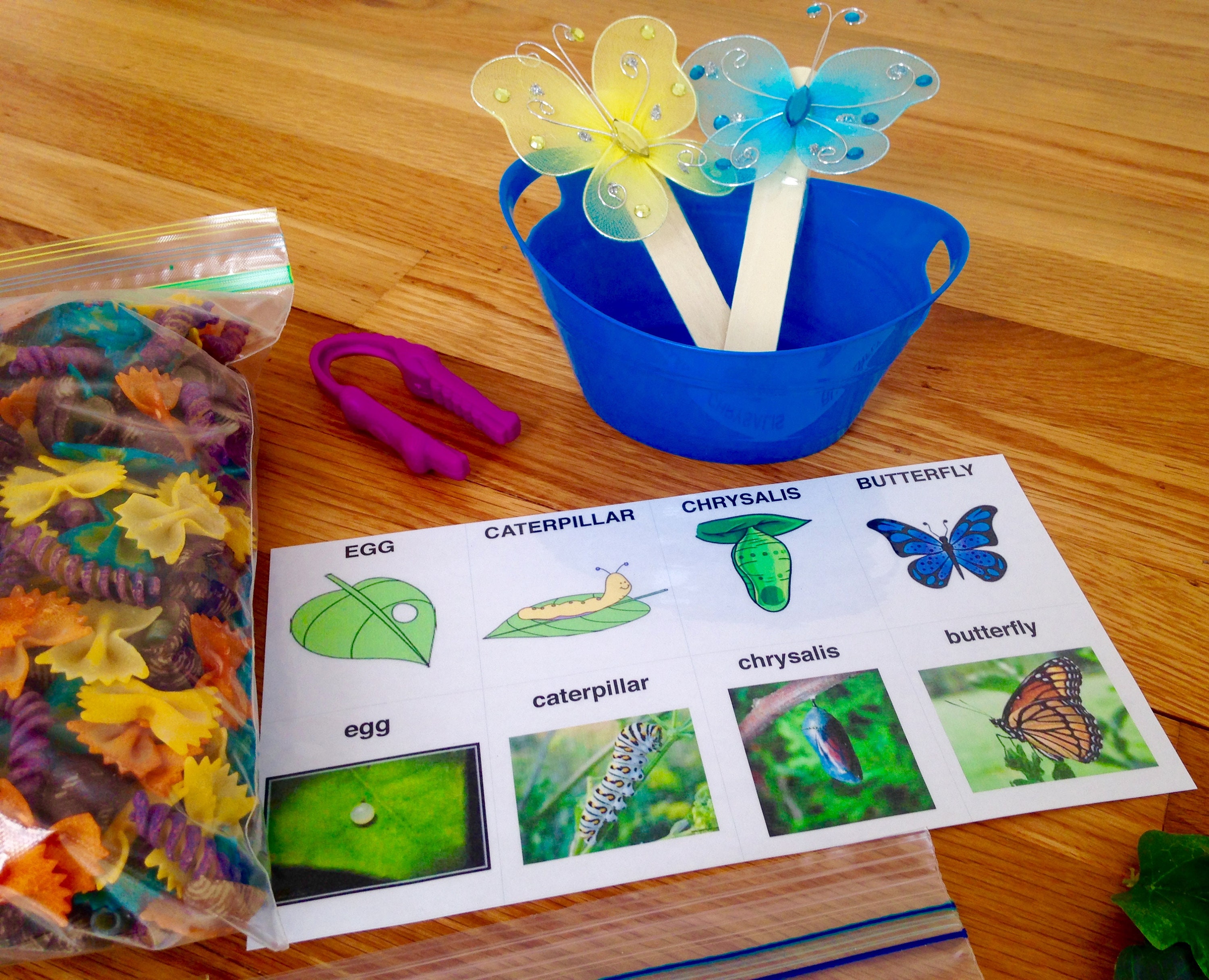 Sensory Bin and Educational Activities- Butterflies and Other Insects ...