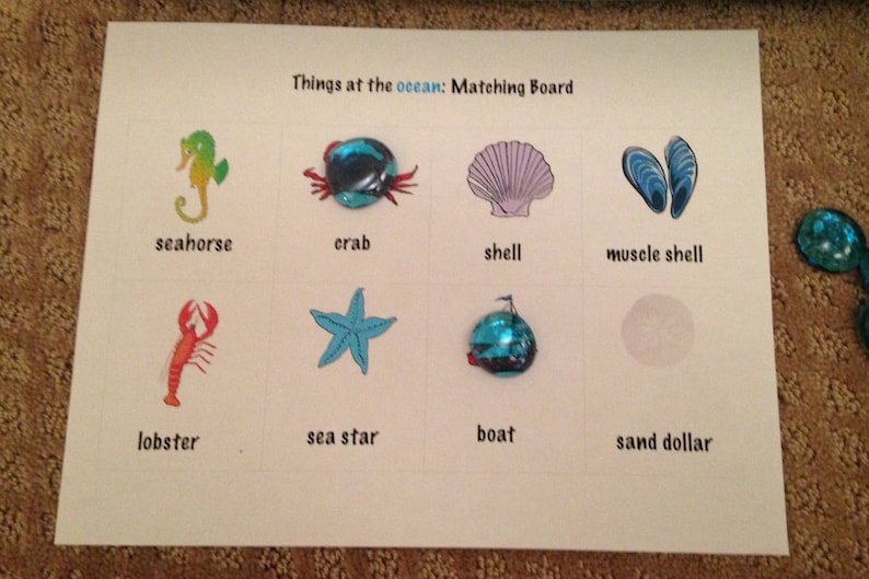 Sensory Bin- Ocean - Etsy