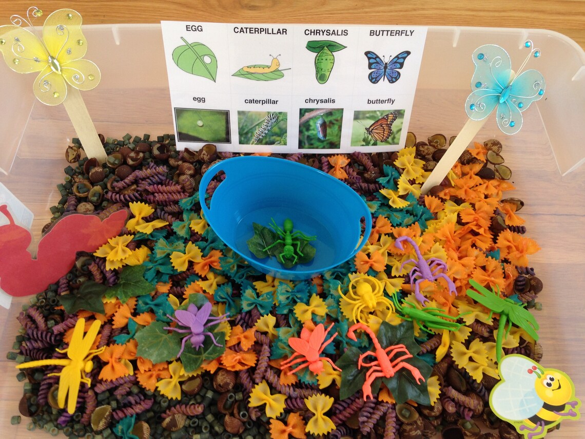 Sensory Bin and Educational Activities- Butterflies and Other Insects ...
