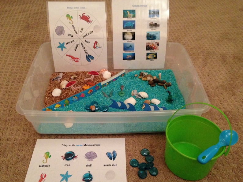 Sensory Bin- Ocean - Etsy
