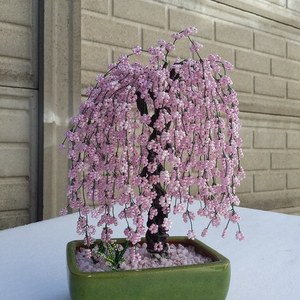 Japanese Weeping Tree - Etsy