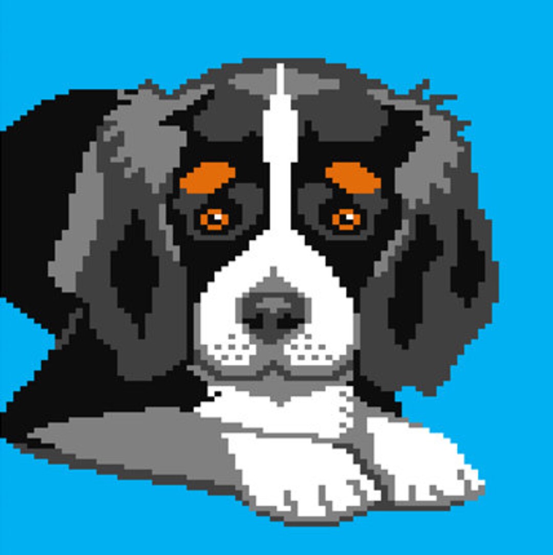 Knitting Pattern PDF Download - Black and White Cavalier King Charles ...