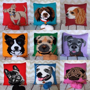 Knitting Pattern PDF Download - Springer Spaniel Pet Portrait Pillow ...