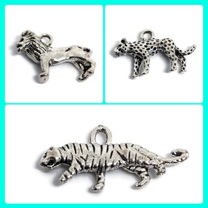 Zoology Degree Keyring, Zoology Graduate, Zoo Keeper, Zoology ...