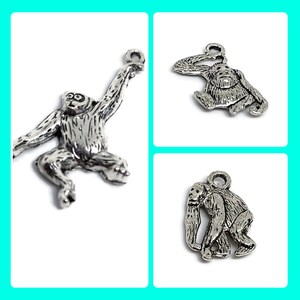 Zoology Degree Keyring, Zoology Graduate, Zoo Keeper, Zoology ...