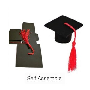 Zoology Degree Keyring, Zoology Graduate, Zoo Keeper, Zoology ...