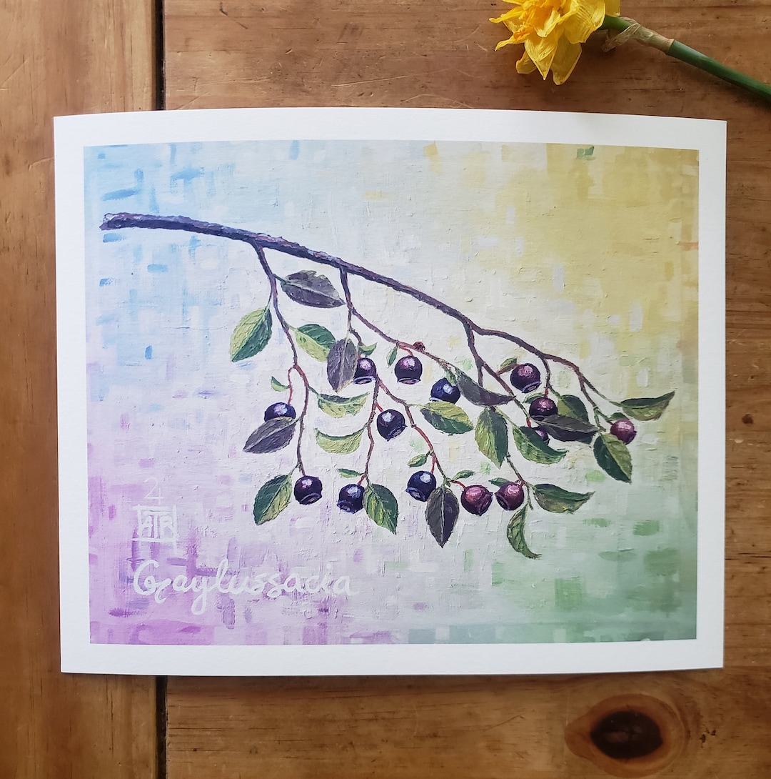 Huckleberries for a Huckleberry | Fine Art Print, Giclée, Botanical ...