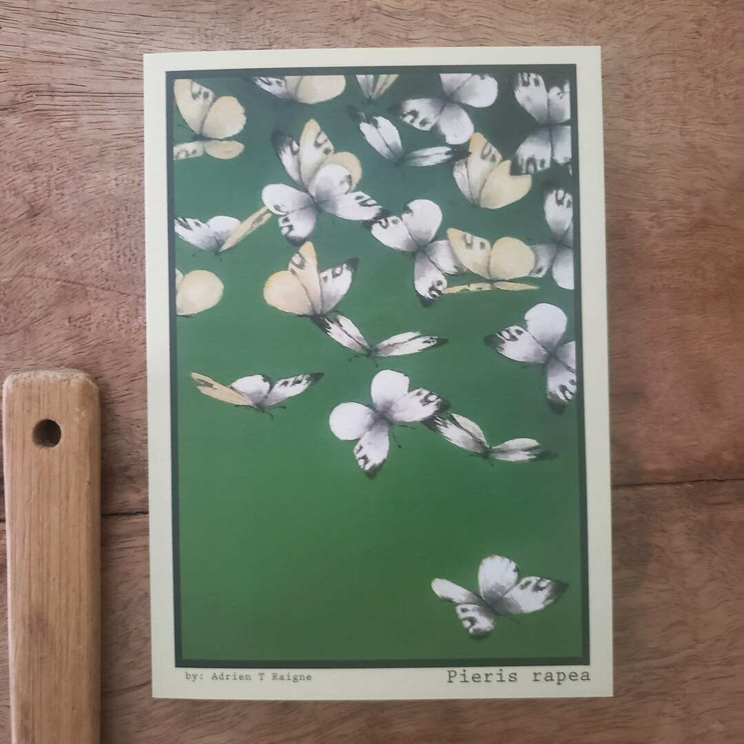 Butterfly Card | 5x7 Folded Card, for Any Occasion, Butterfly Painting ...