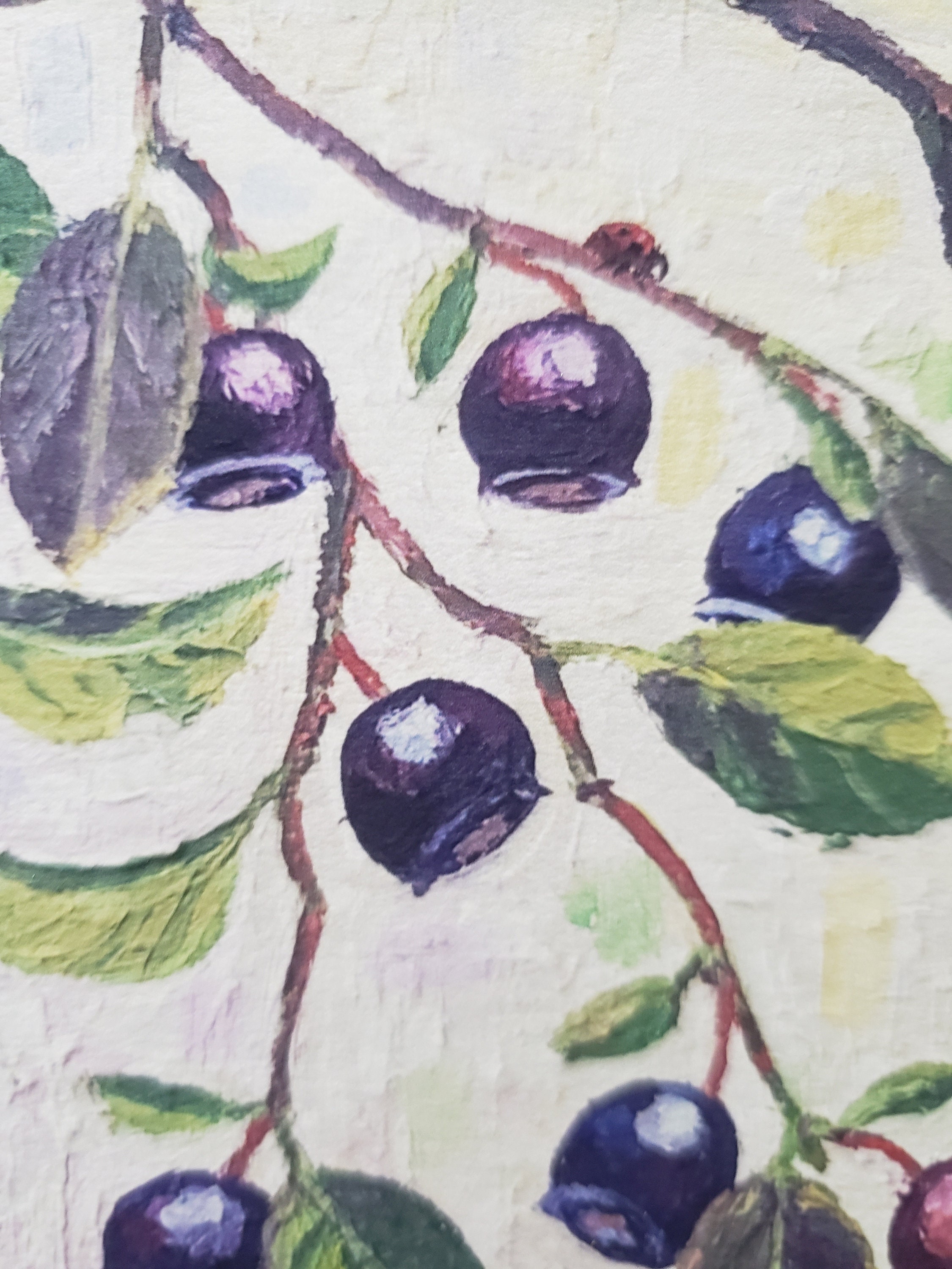 Huckleberries for a Huckleberry | Fine Art Print, Giclée, Botanical ...