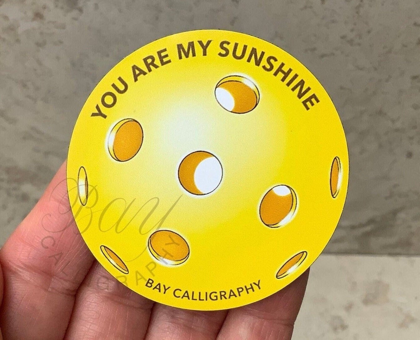 Pickleball MAGNET, Pickleball Refrigerator Magnet, Stay Out of the ...