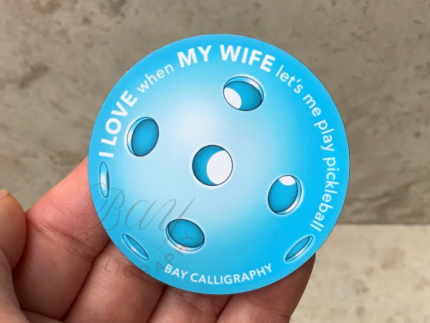 Pickleball MAGNET, Pickleball Refrigerator Magnet, Stay Out of the ...