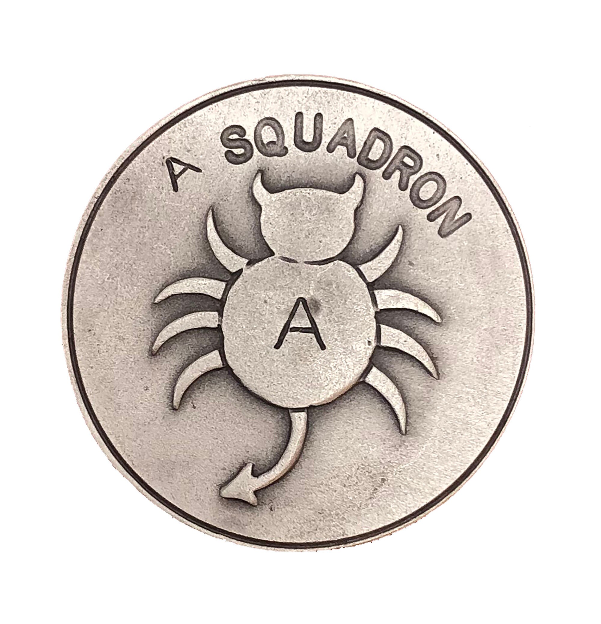 A Sqn Bug Emblem SAS 22 Special Air Service Regiment Coin | Etsy