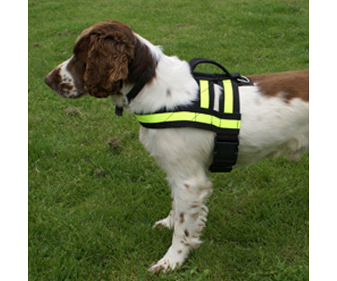 Hi-visibility Search Dog Harness by Onie Canine - Etsy