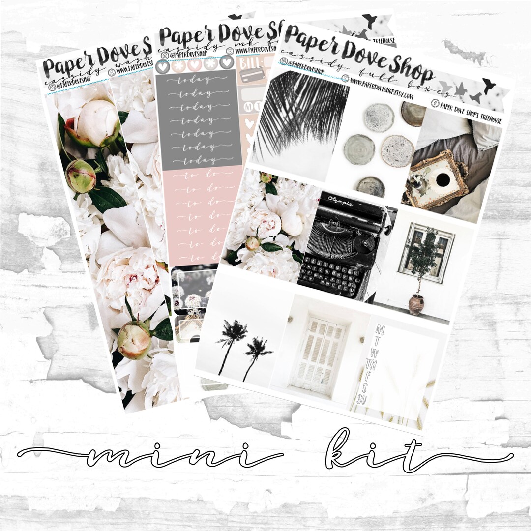 Cassidy Mini Kit-- Planner Kit, Decorative Stickers, Planner Stickers ...