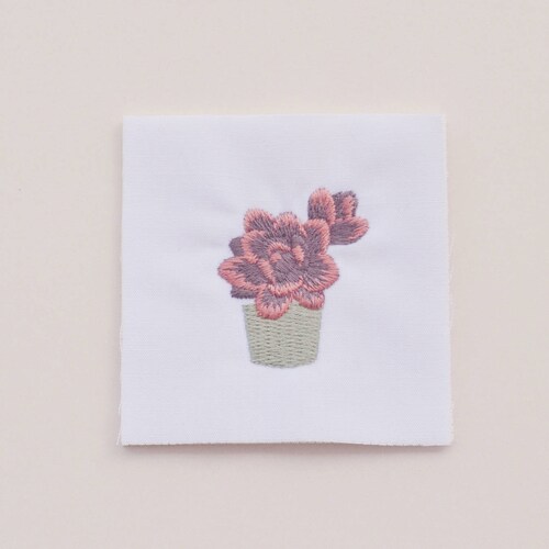 Succulents Redwork Embroidery Machine Design Instant Download - Etsy
