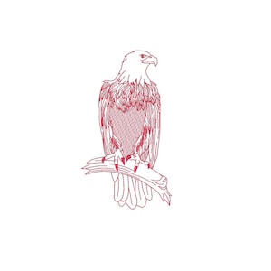 Bald Eagle - Redwork/blackwork Machine Embroidery Design. Eagle ...