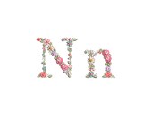 Machine Embroidery Design Small Floral Letter N Uppercase and - Etsy