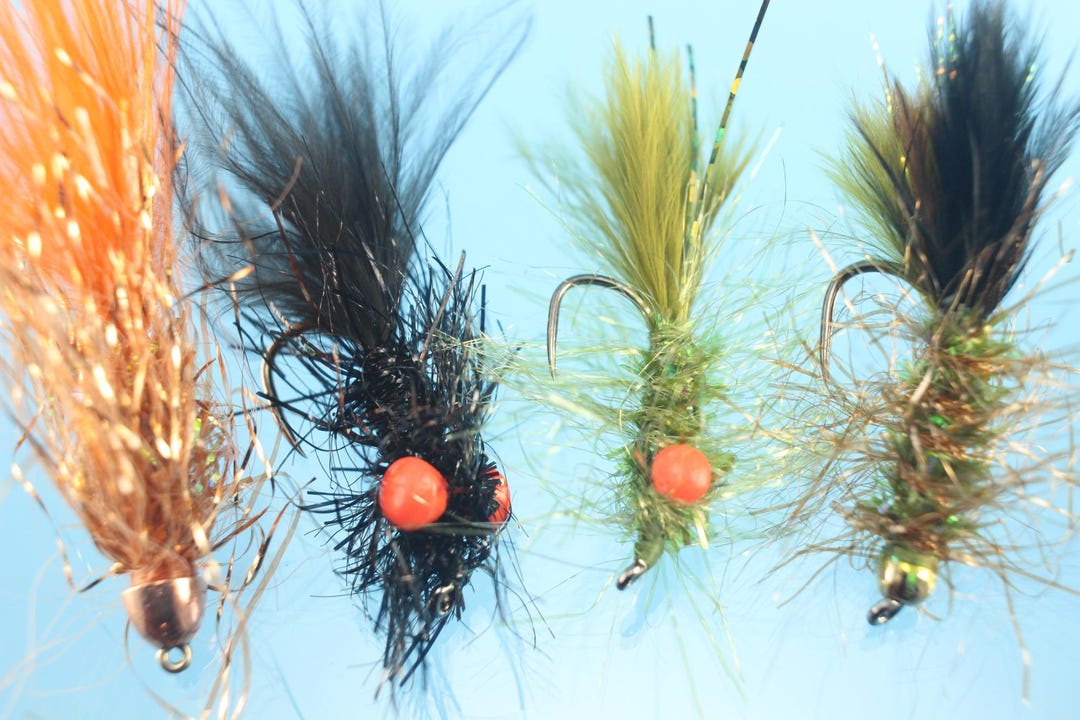 Mini-bugger Box 2024, 16 Selected Flies, Fishing Flies in a Box - Etsy