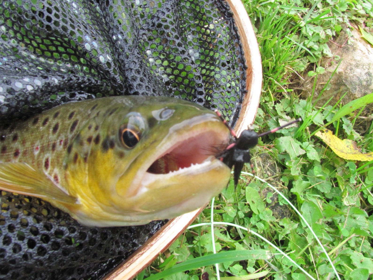 Foam Hopper Flies, (3 Pack) Fly Fishing Flies, Hand-tied Flies, Hopper ...