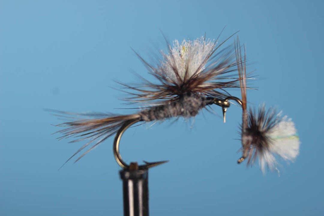 Parachute Adams Flies, (3 Pack) Adams Dry Fly, Trout Flies, Mayflies ...