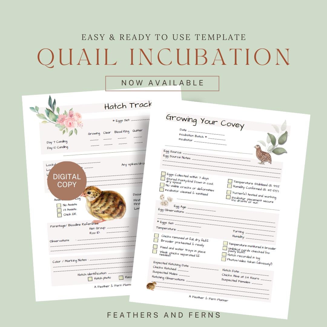 Quail Hatch Tracker: Incubation Planner & Egg Log (PDF) - Etsy