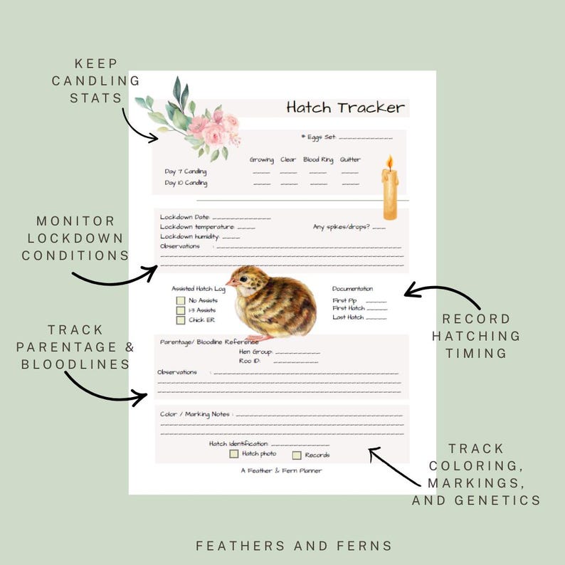 Quail Hatch Tracker: Incubation Planner & Egg Log (PDF) - Etsy