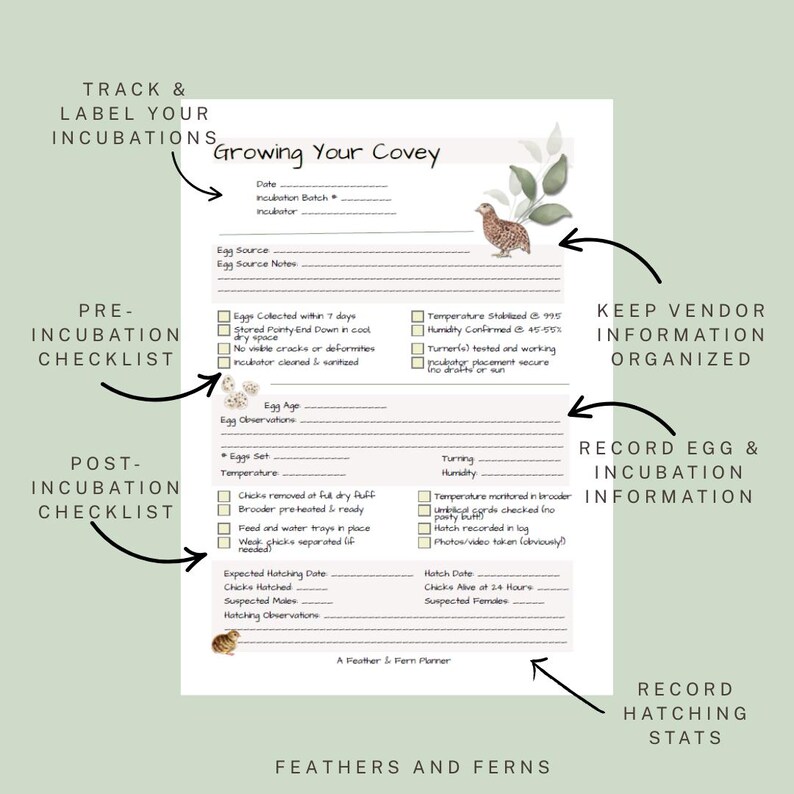 Quail Hatch Tracker: Incubation Planner & Egg Log (PDF) - Etsy