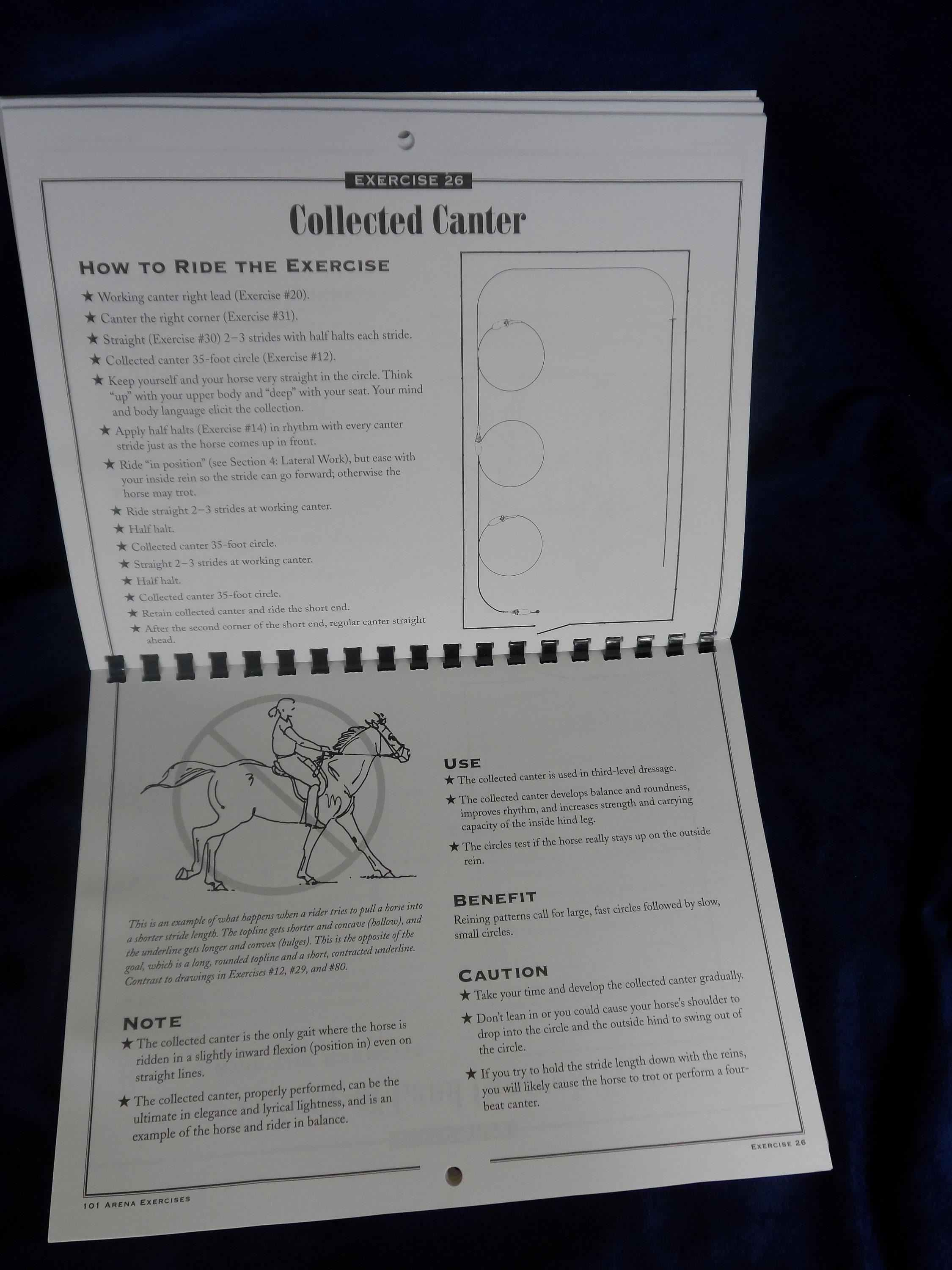 101 Arena Exercises A Ringside Guide for Horse & Rider - Etsy