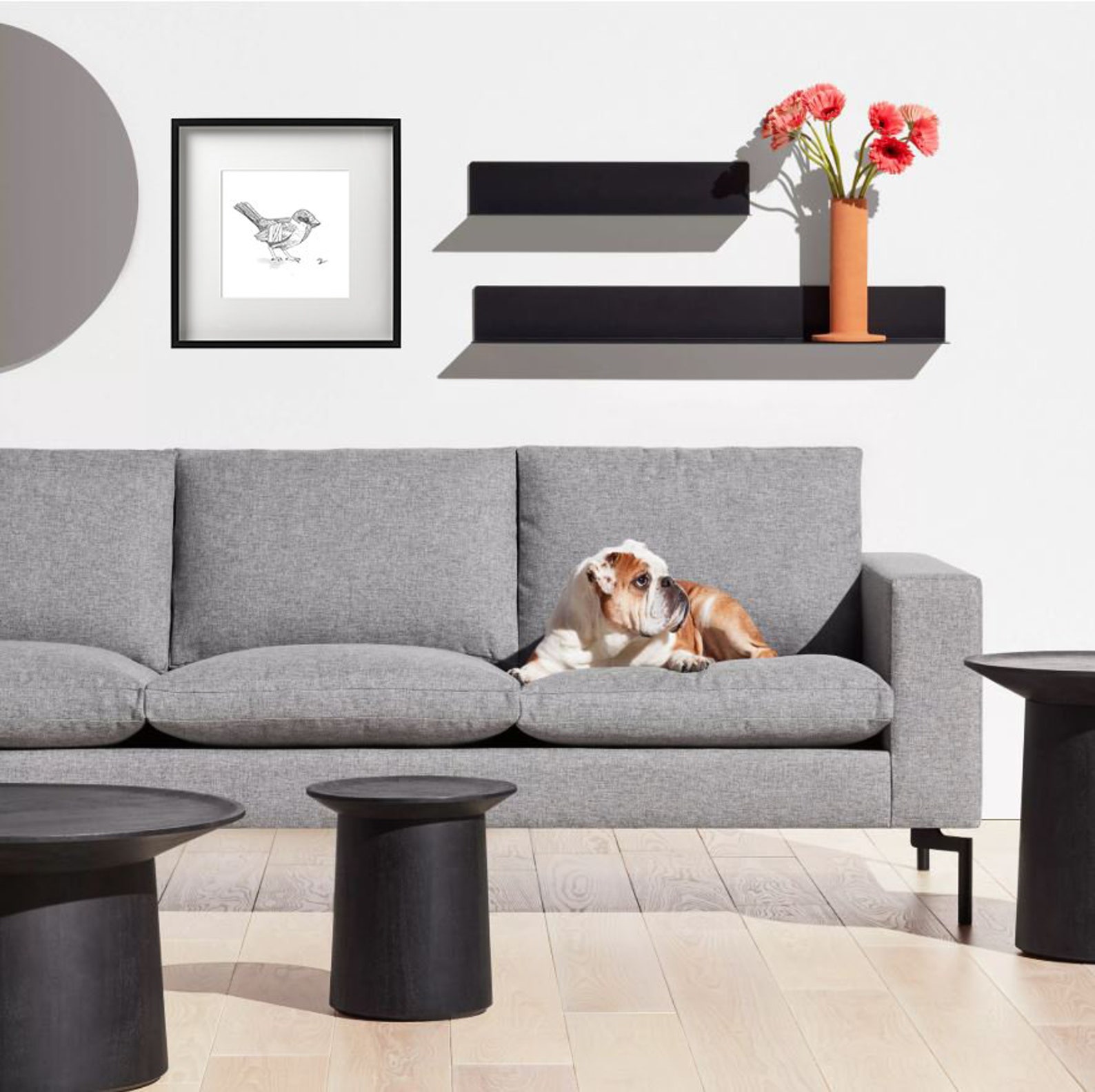 Art Print Sparrow With a Bandaged Wing, Instant Download Printable ...