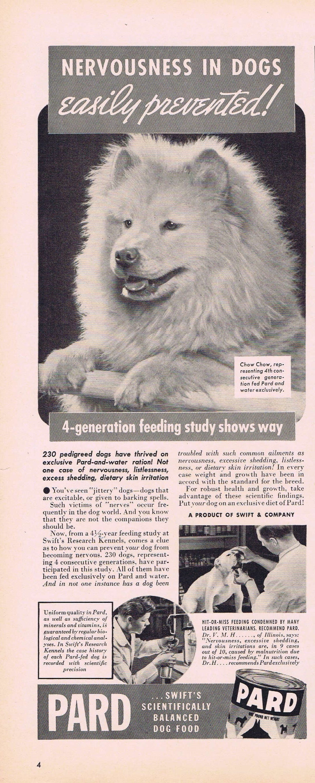 Chow Chow 4th Generation Dog and Pard Dog Food Original Vintage 1939 ...