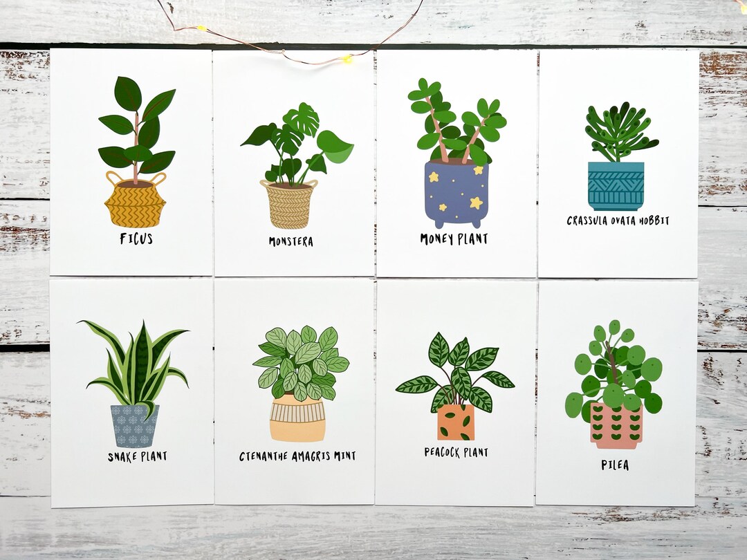 House Plant Prints | Mini Prints, Plant Prints, Digital Art - Etsy