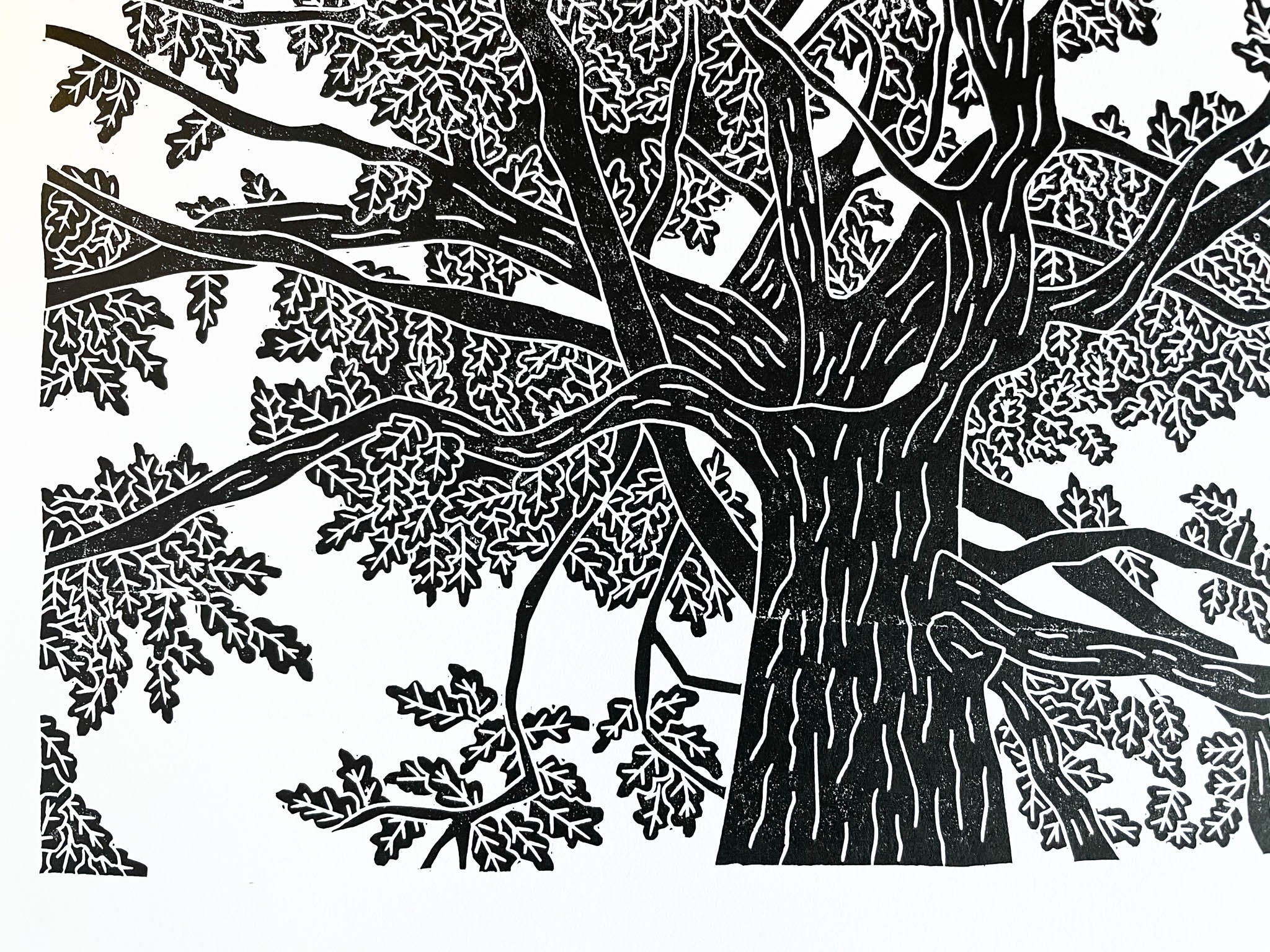 Oak Tree Lino Print as Seen on TV - Etsy UK