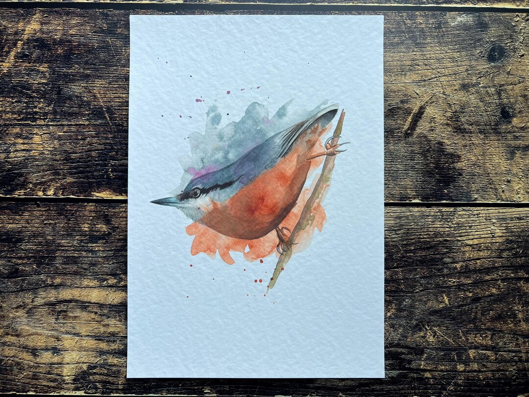Nuthatch Watercolour Print | Expressive Bird Art - Etsy UK
