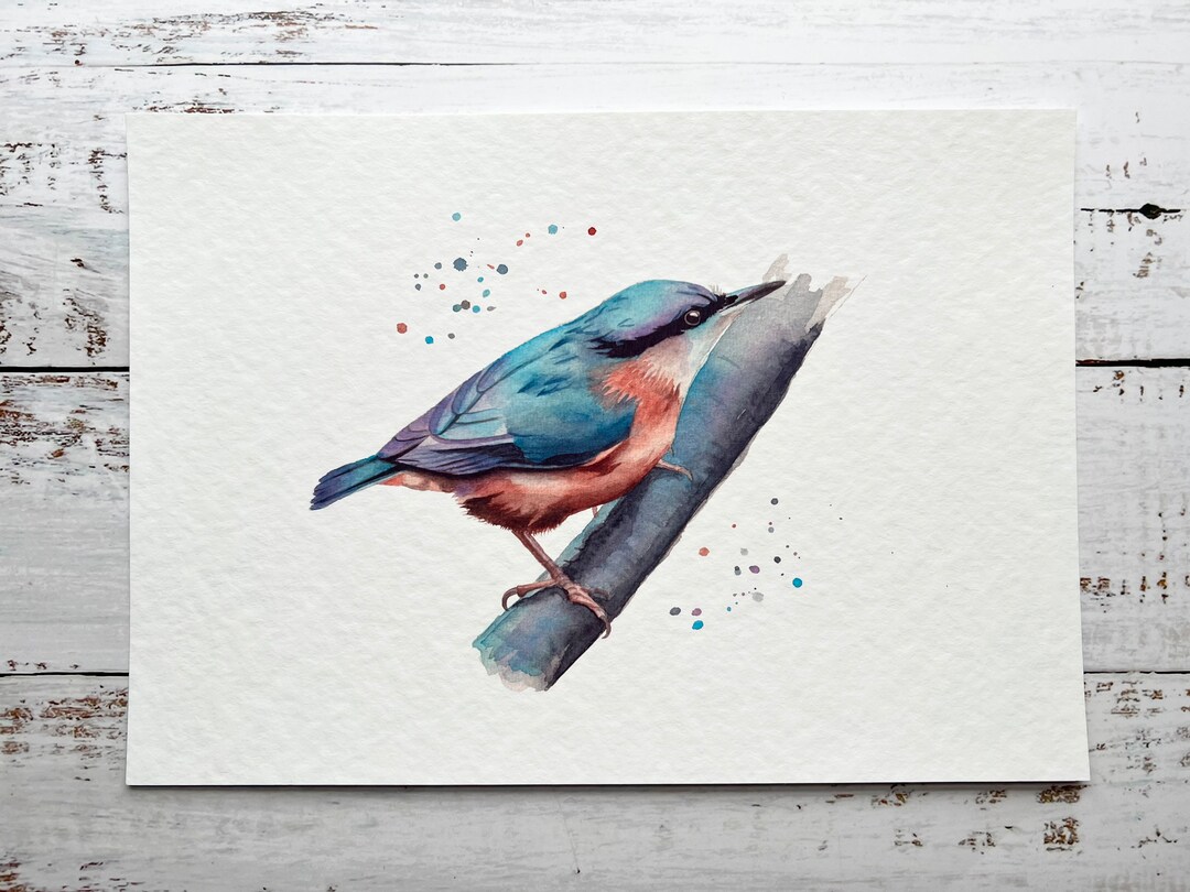 Nuthatch Watercolour Print | Bird Art, Gifts for Birders - Etsy UK