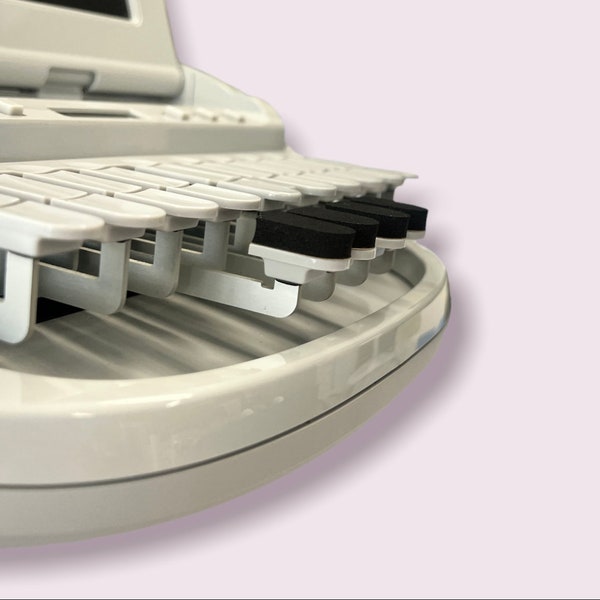 Steno - Etsy