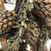 Wooly PINECONE Pattern by Wooly Pines--pattern ONLY - Etsy
