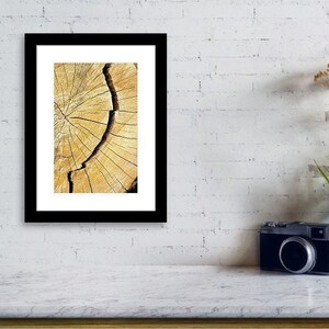 Tree Art Abstract Nature Photography, Wood Grain Abstract Photography ...