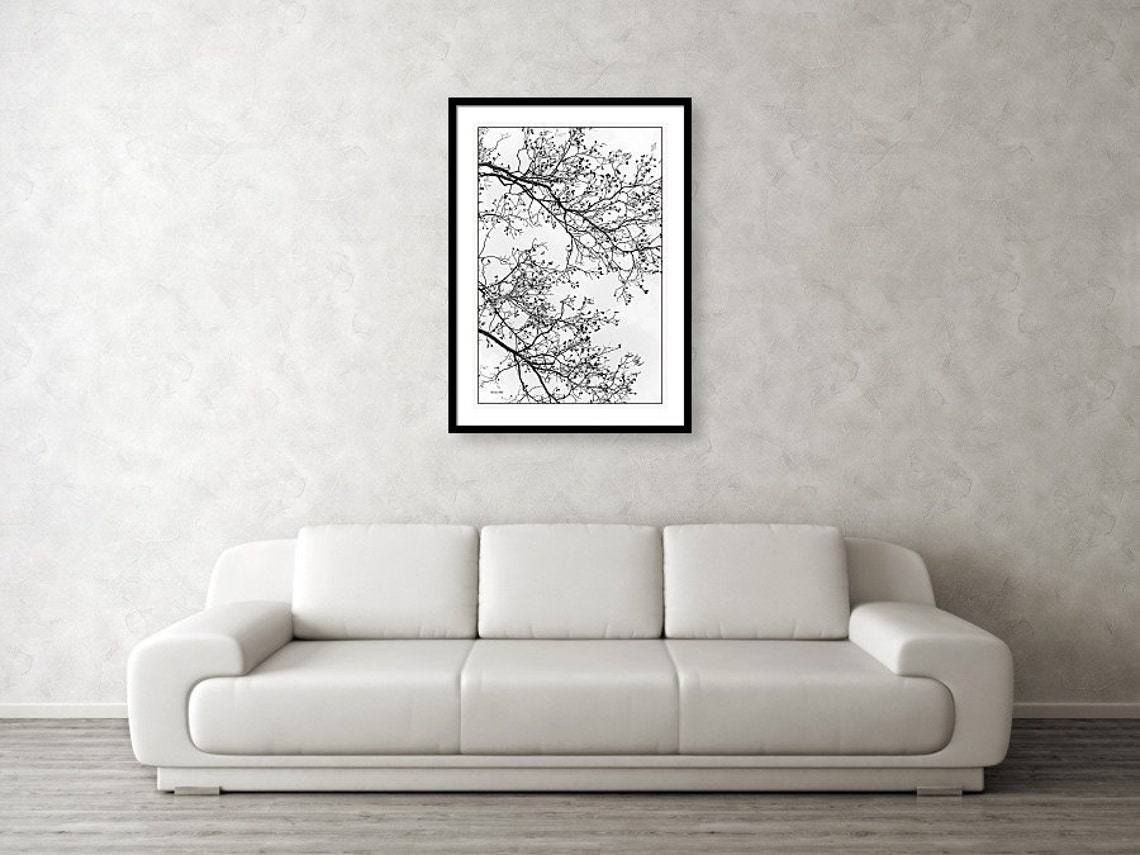 Black and White Tree Photography Tree Art Print, Black and White Trees ...