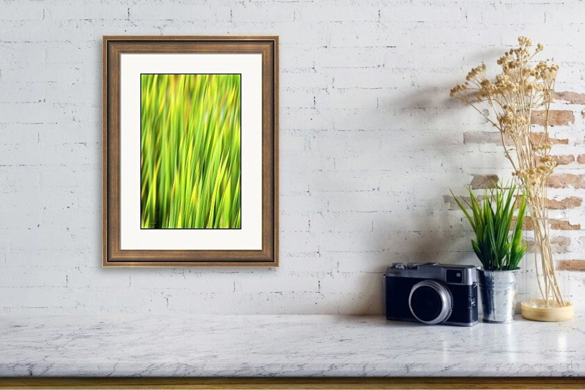 Grass Wall Art Abstract Nature Photography Green Grass - Etsy