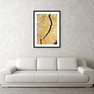Tree Art Abstract Nature Photography, Wood Grain Abstract Photography ...