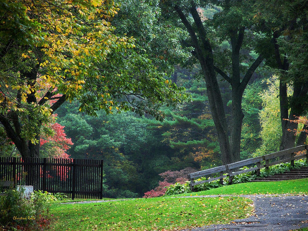 Landscape Photography Scenic Nature Print, New York State Park ...