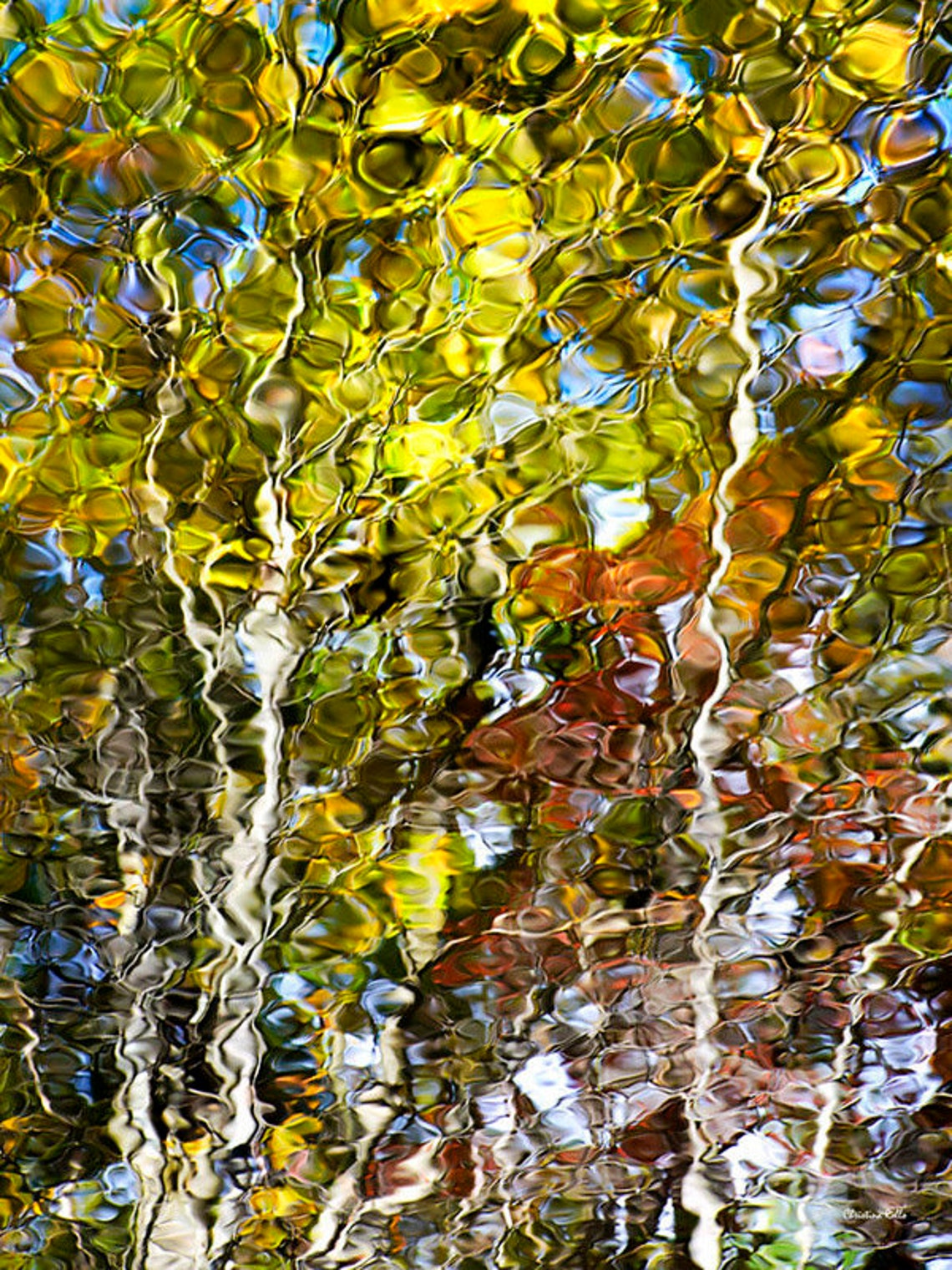 Water Reflection Trees Abstract Color Tree Wall Art Nature | Etsy