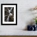 Waterfall Print Landscape Photography Scenic Waterfall Photo, Fine Art ...
