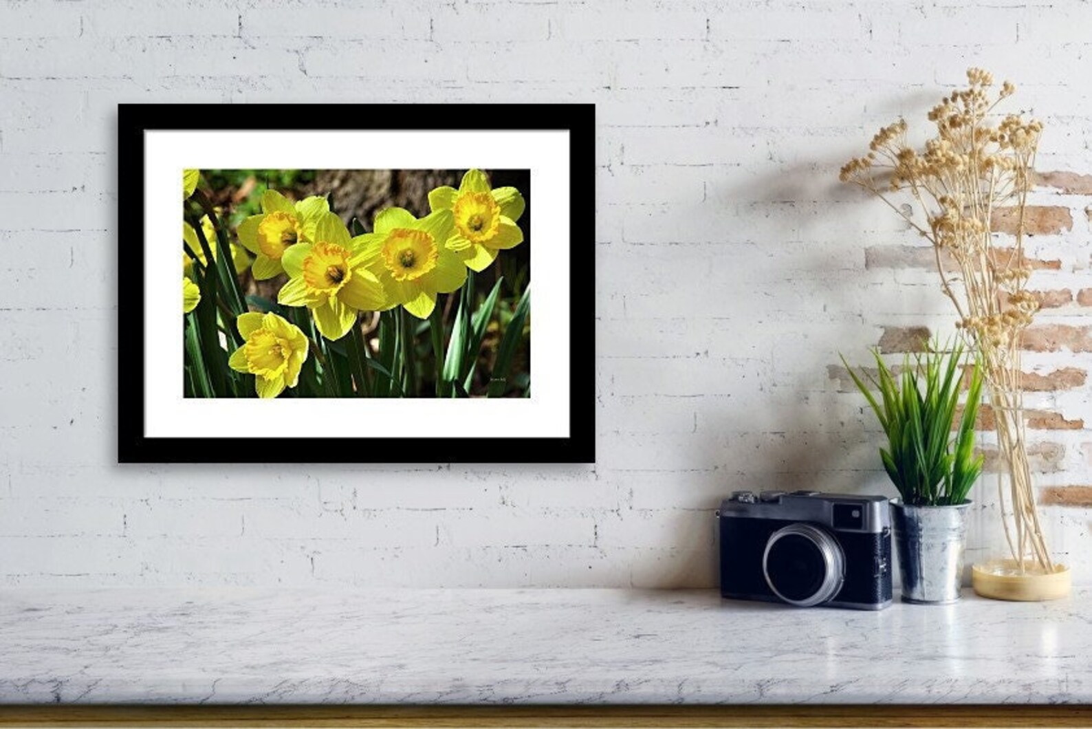 Daffodils Print Daffodil Flower Print Fine Art Photography, Photo ...