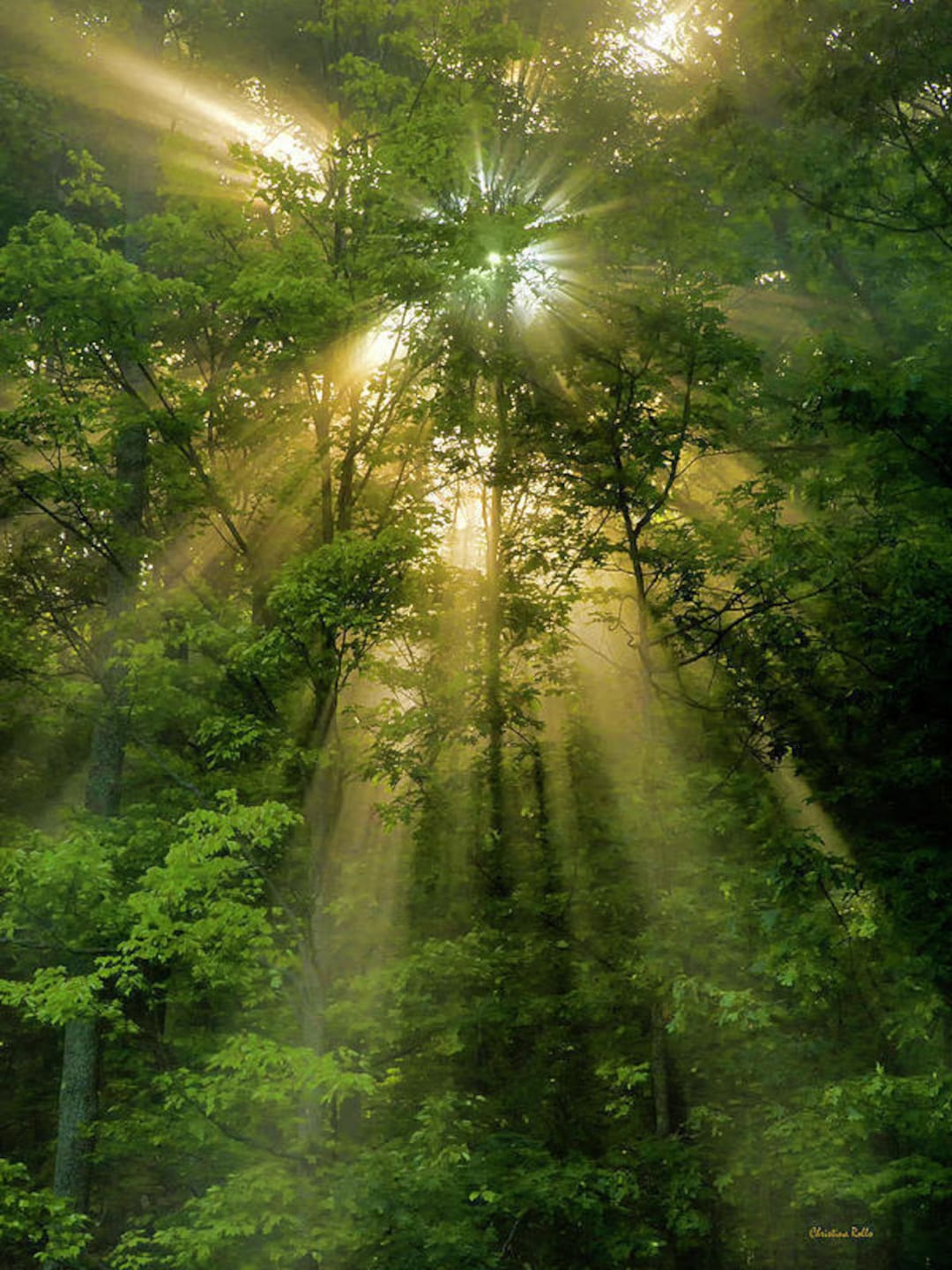 Sunrise Landscape Photography Print: Inspirational Wall Art, New York ...