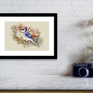 Blue Jay Bird Art Print Watercolor Bird Wildlife Print Blue | Etsy