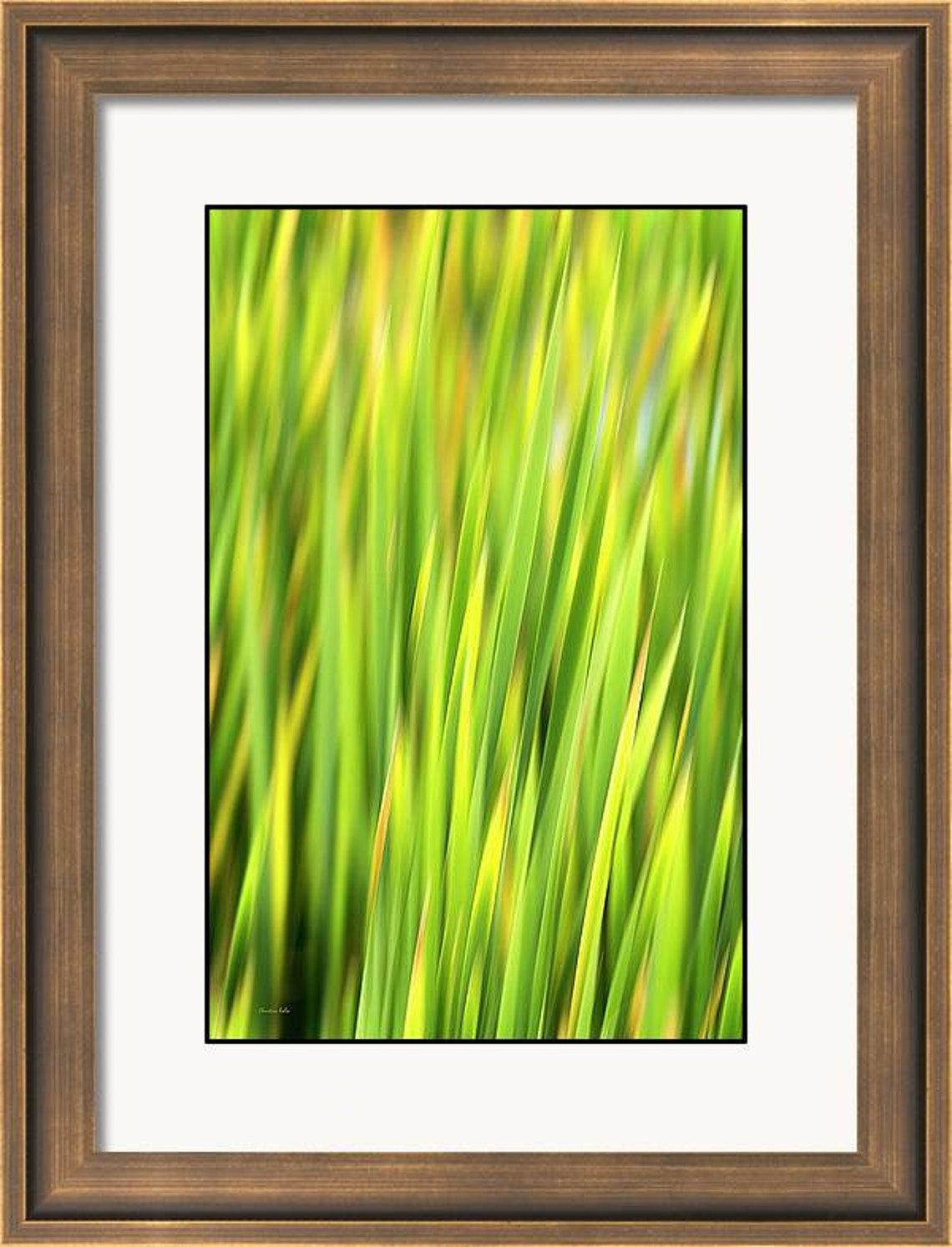 Grass Wall Art Abstract Nature Photography Green Grass - Etsy