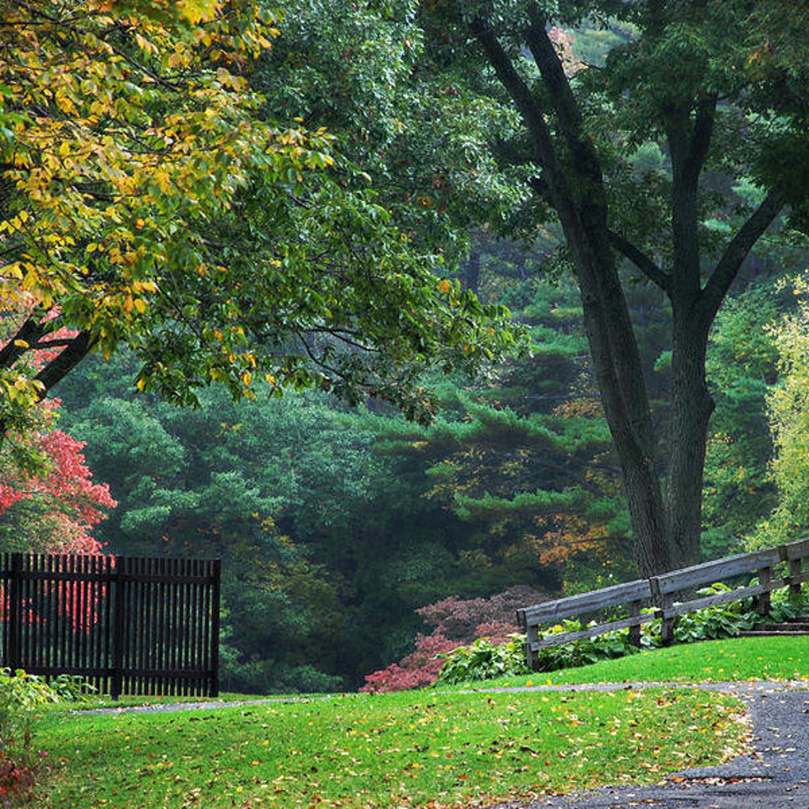 Landscape Photography Scenic Nature Print, New York State Park ...