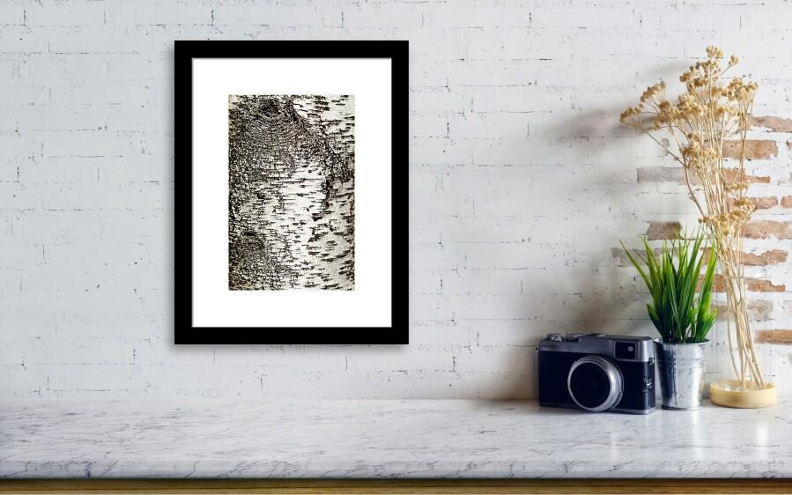 Birch Tree Bark Print Abstract Photography, Fine Art Photography Print ...